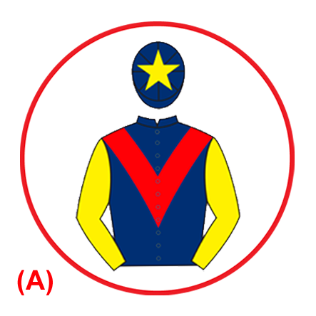 Individual Owners - My Racing Colours