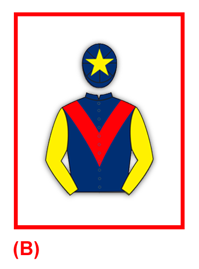 Individual Owners - My Racing Colours