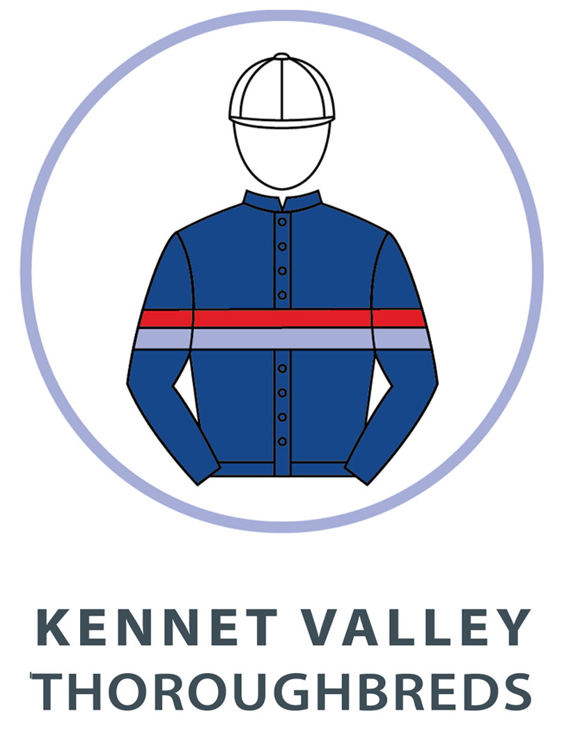 Syndicates - My Racing Colours